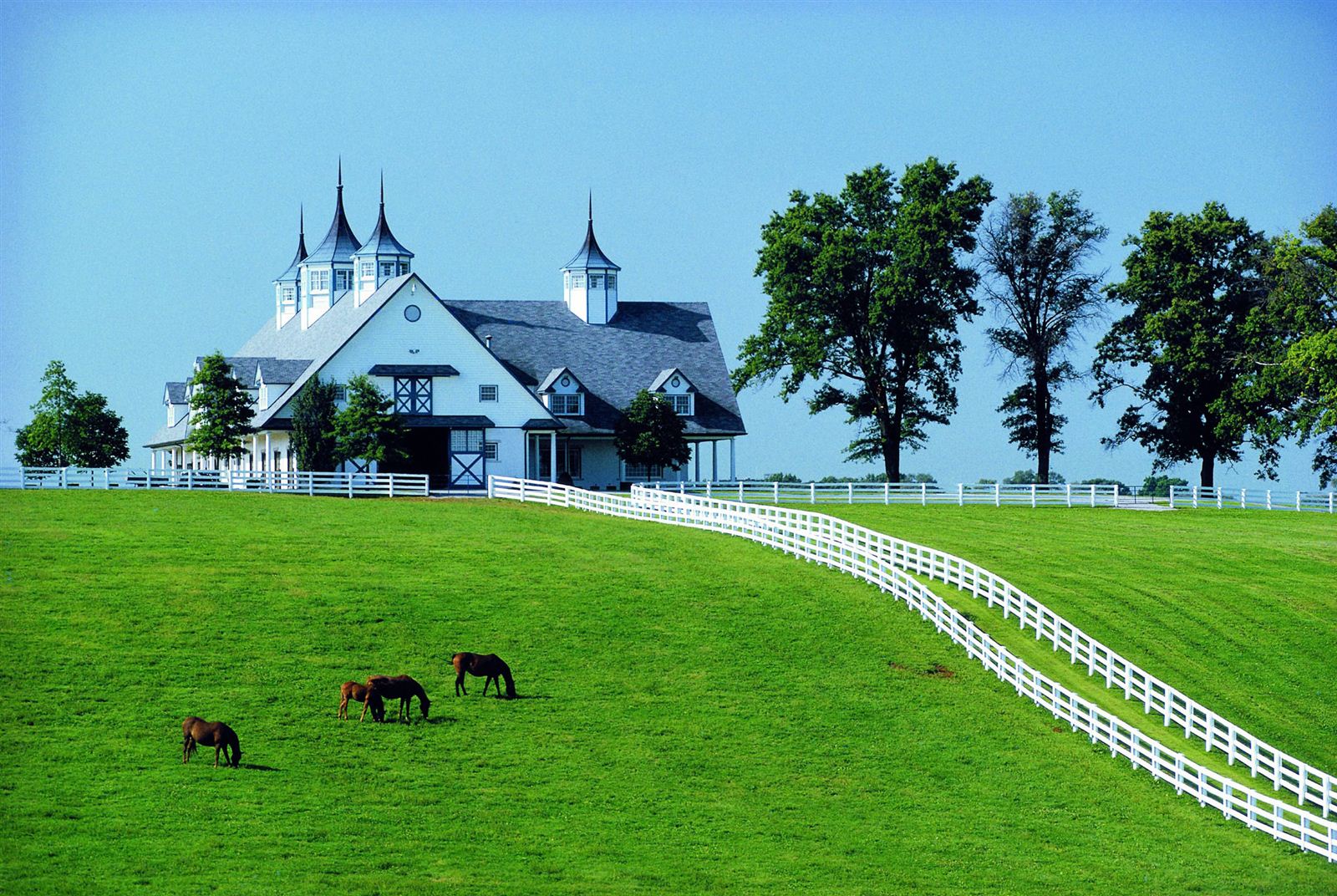 Locations Hub - Calumet Farm