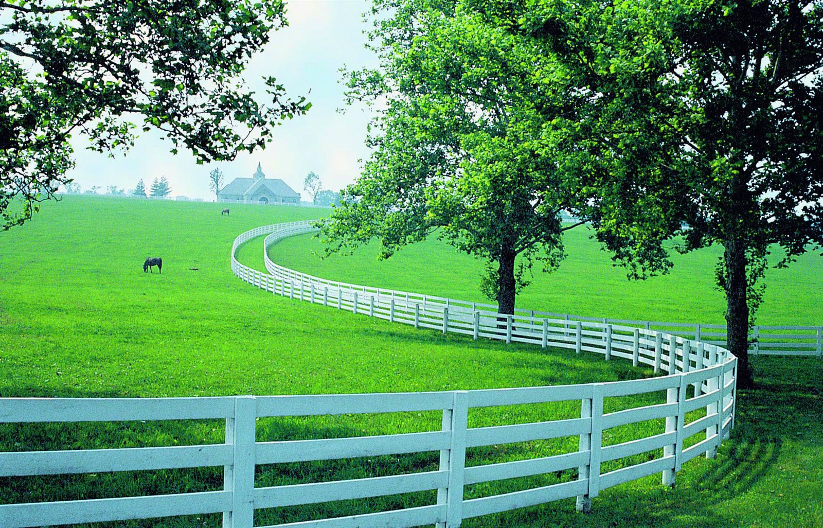 Locations Hub - Calumet Farm