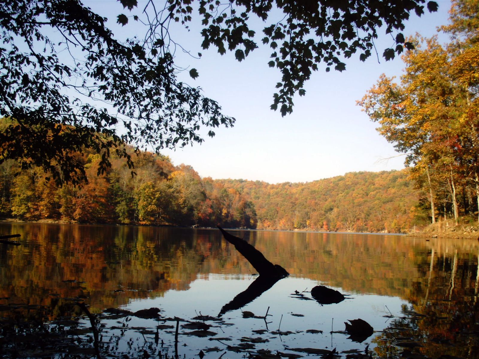 Locations Hub - Greenbo Lake State Resort Park