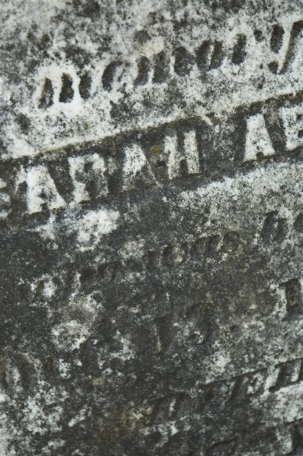 Locations Hub - Pioneer Cemetery Bardstown