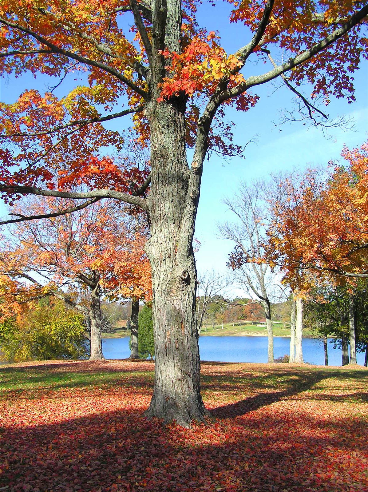 Locations Hub - Long Run Park