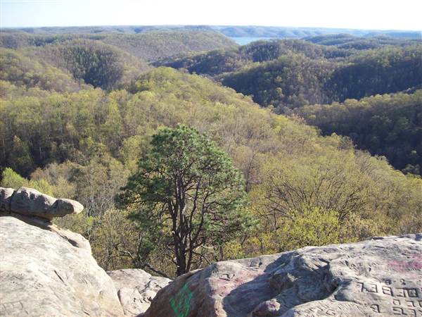 Locations Hub - Lockegee Rock