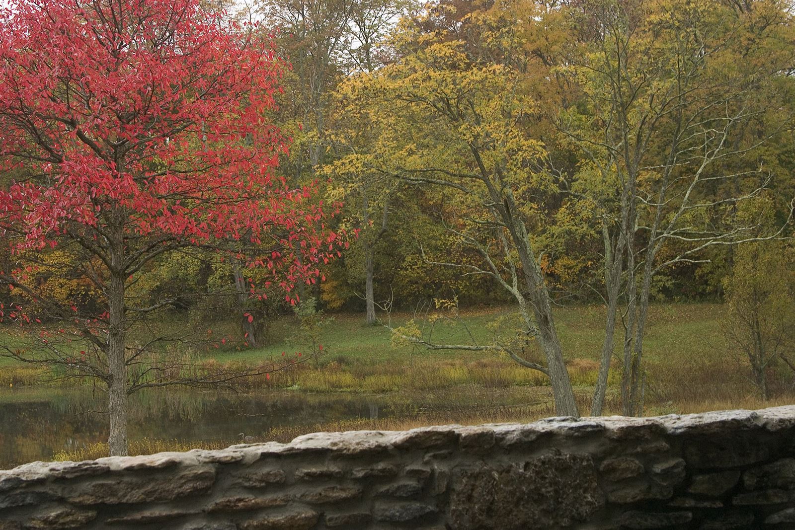 Locations Hub - Long Run Park