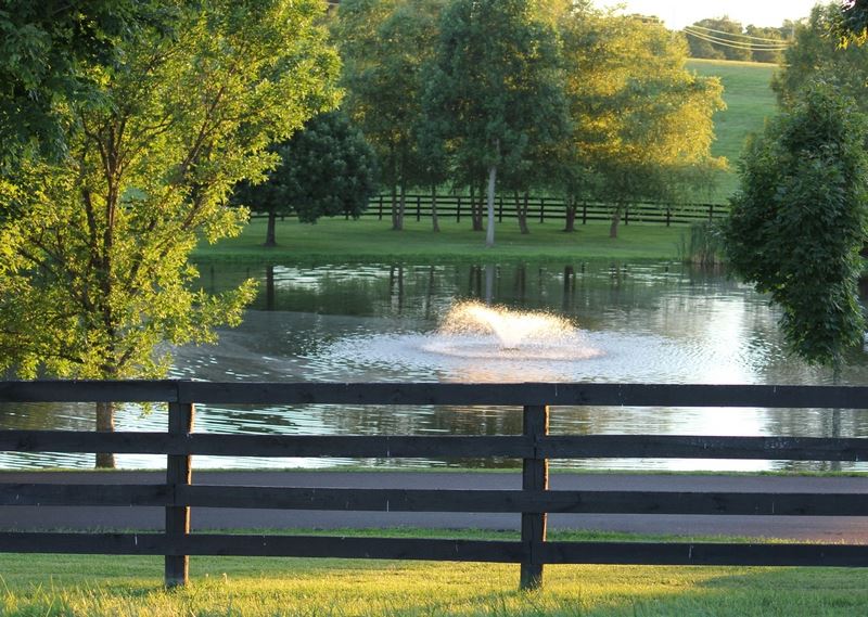 Locations Hub - Shadwell Farm