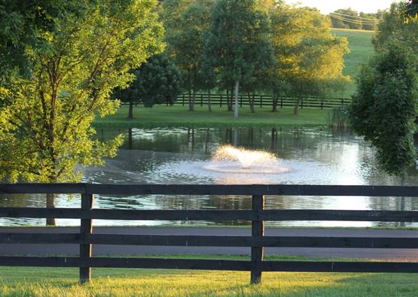 Locations Hub - Shadwell Farm