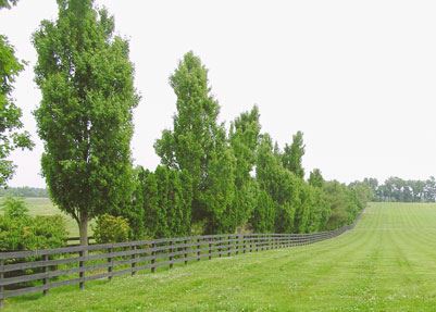 Locations Hub - Shadwell Farm